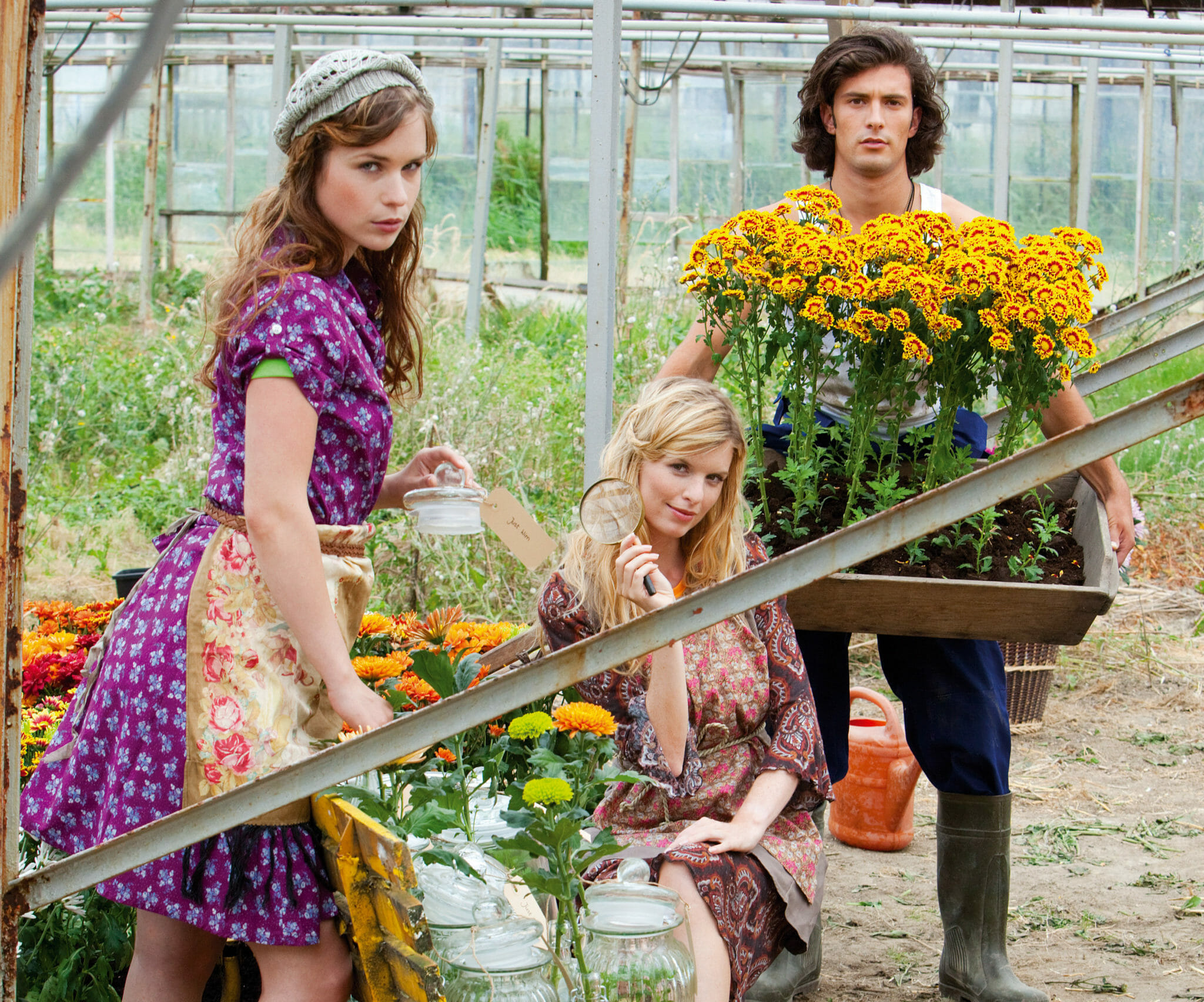 Chrysant: de bloem die nooit teleurstelt! - Just Chrys