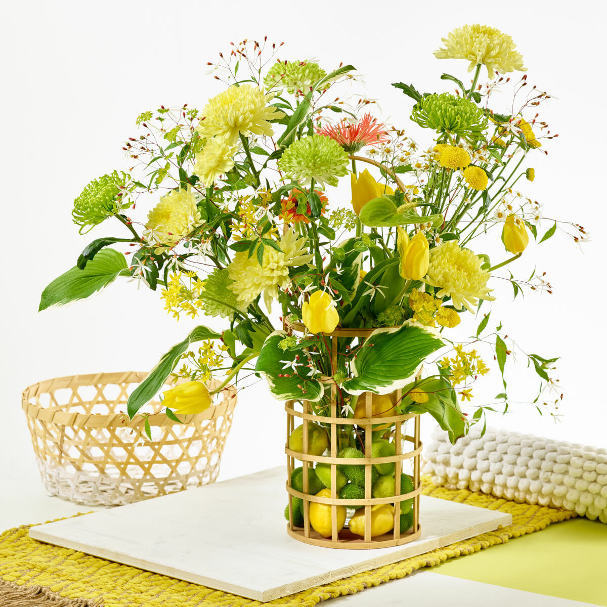 Alles over chrysanten: verzorgingstips, symboliek en veelgestelde ...