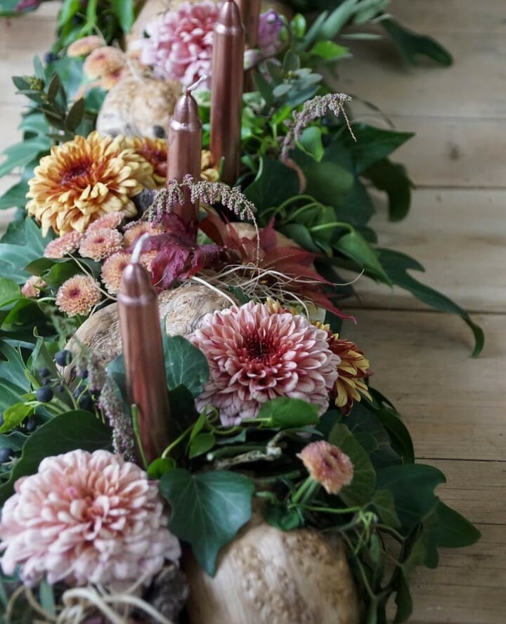 Chrysanthemum: the flower that never disappoints! | Just Chrys