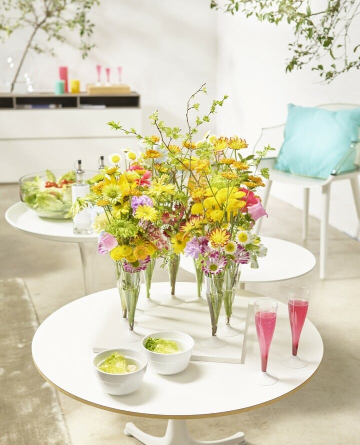Chrysanthemum: the flower that never disappoints! | Just Chrys