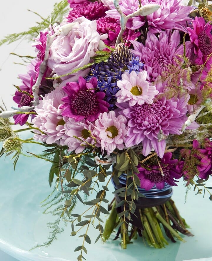 Chrysanthemum: the flower that never disappoints! | Just Chrys