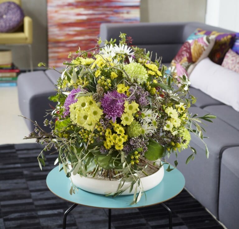 Chrysanthemum: the flower that never disappoints! | Just Chrys