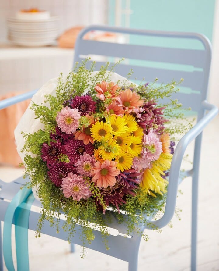 Chrysanthemum: the flower that never disappoints! | Just Chrys