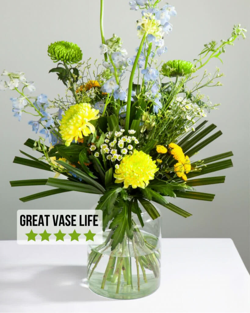 Chrysant: de bloem die nooit teleurstelt! | Just Chrys
