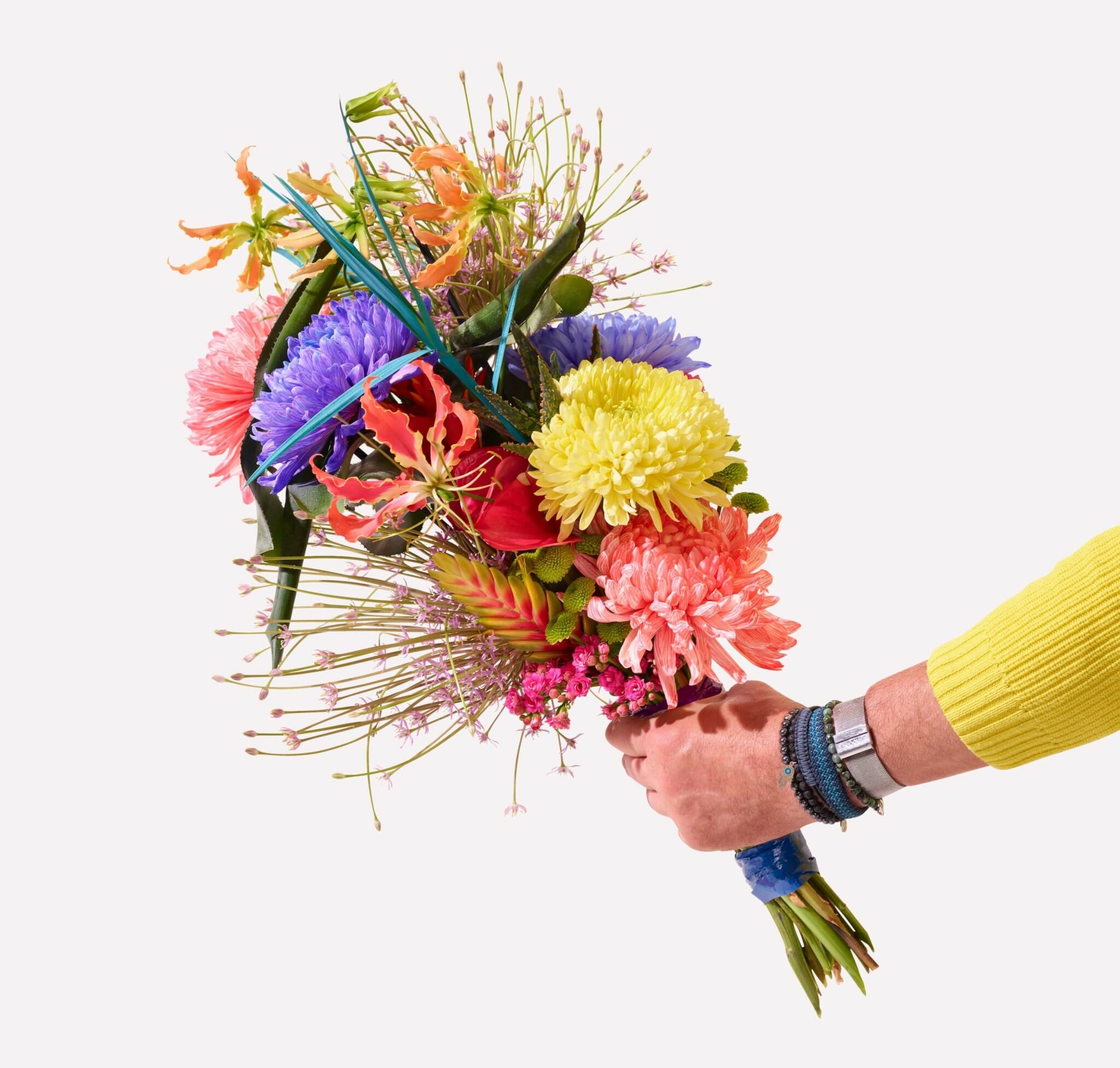 Chrysanthemum: the flower that never disappoints! - Just Chrys