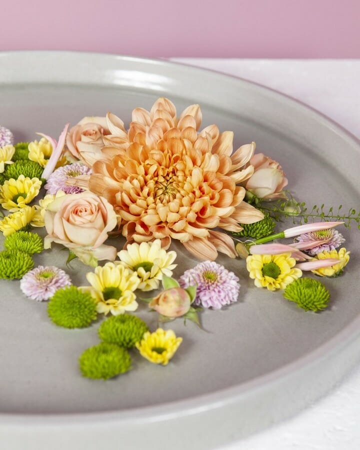 Chrysanthemum: the flower that never disappoints! - Just Chrys