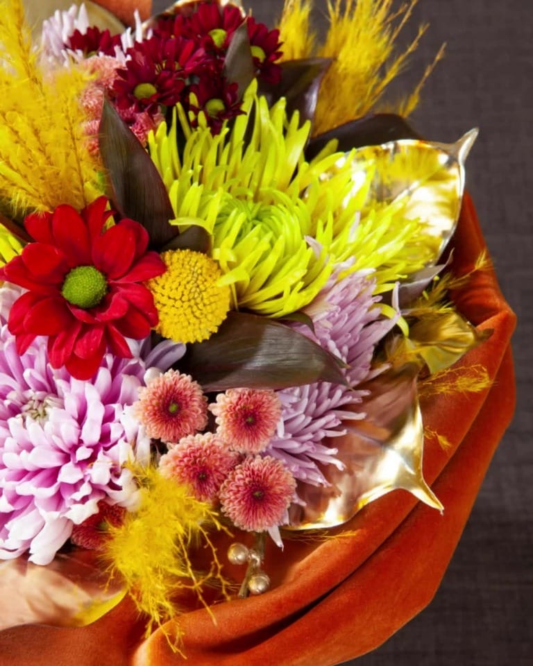 Chrysanthemum: the flower that never disappoints! - Just Chrys