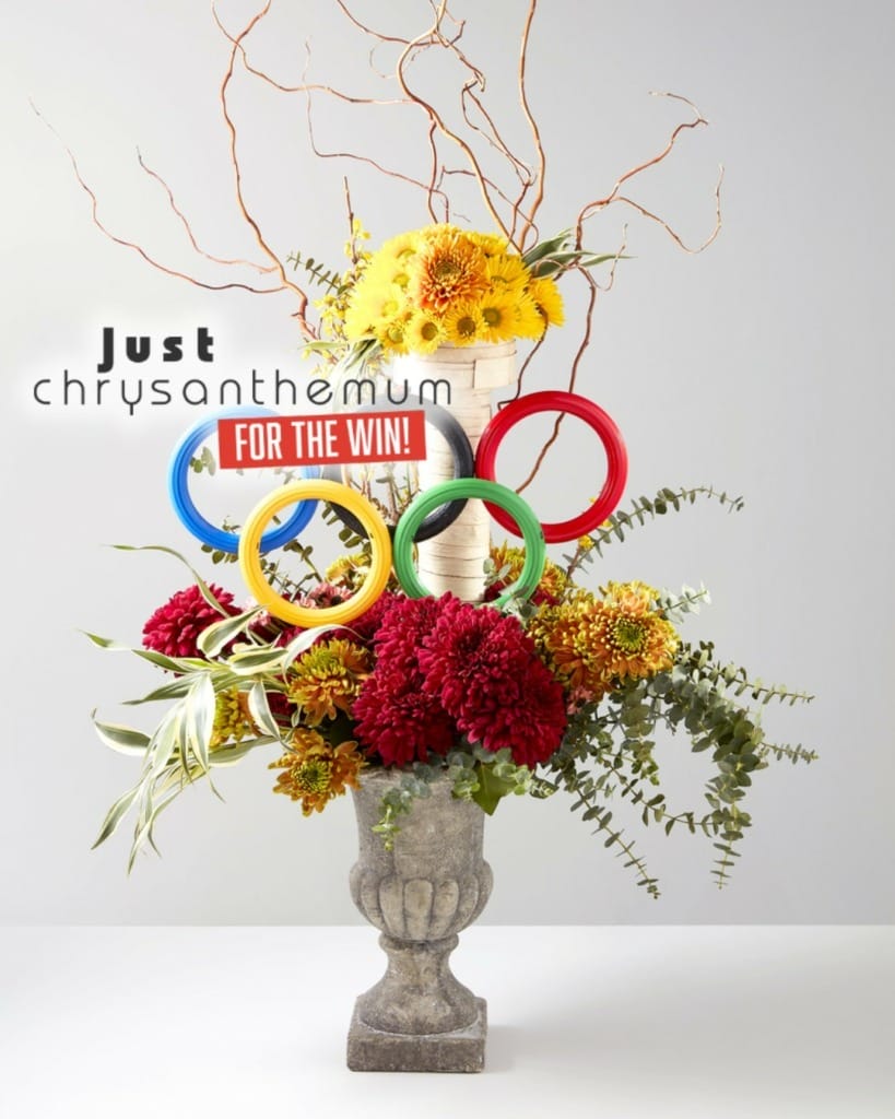 Chrysant: de bloem die nooit teleurstelt! - Just Chrys