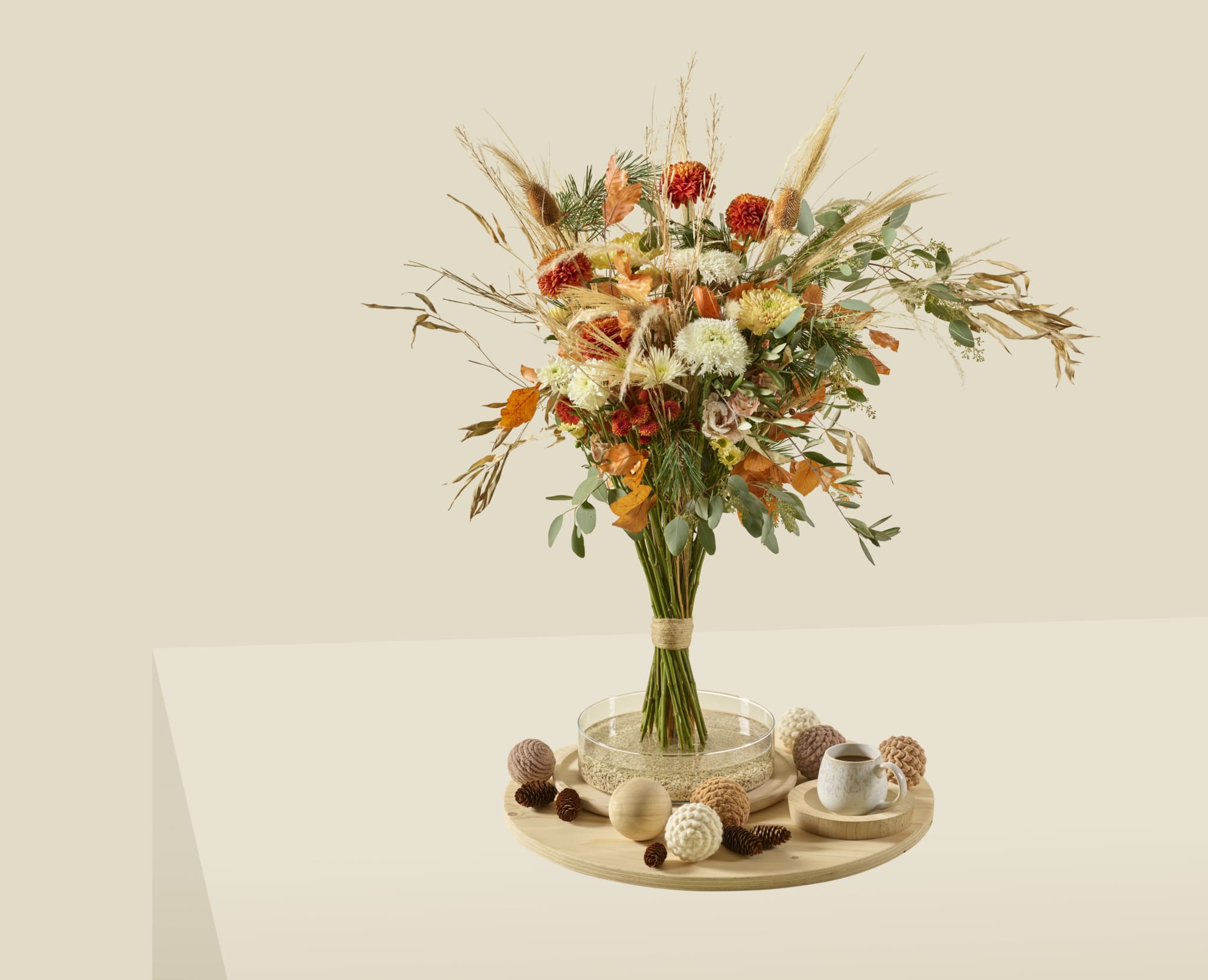 Chrysanthemum: the flower that never disappoints! - Just Chrys